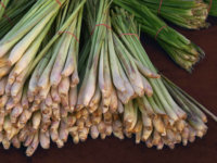 Lemongrass (Tanglad) - Filipino Chow