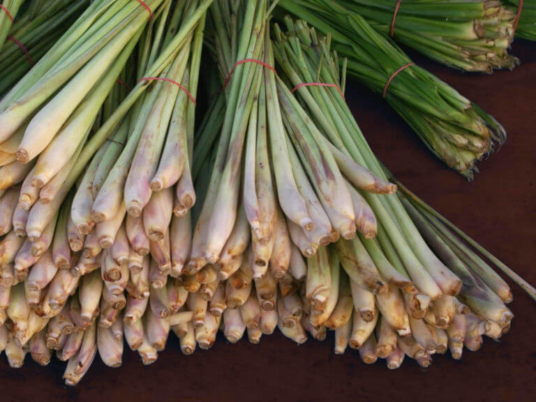 Lemongrass (Tanglad) - Filipino Chow